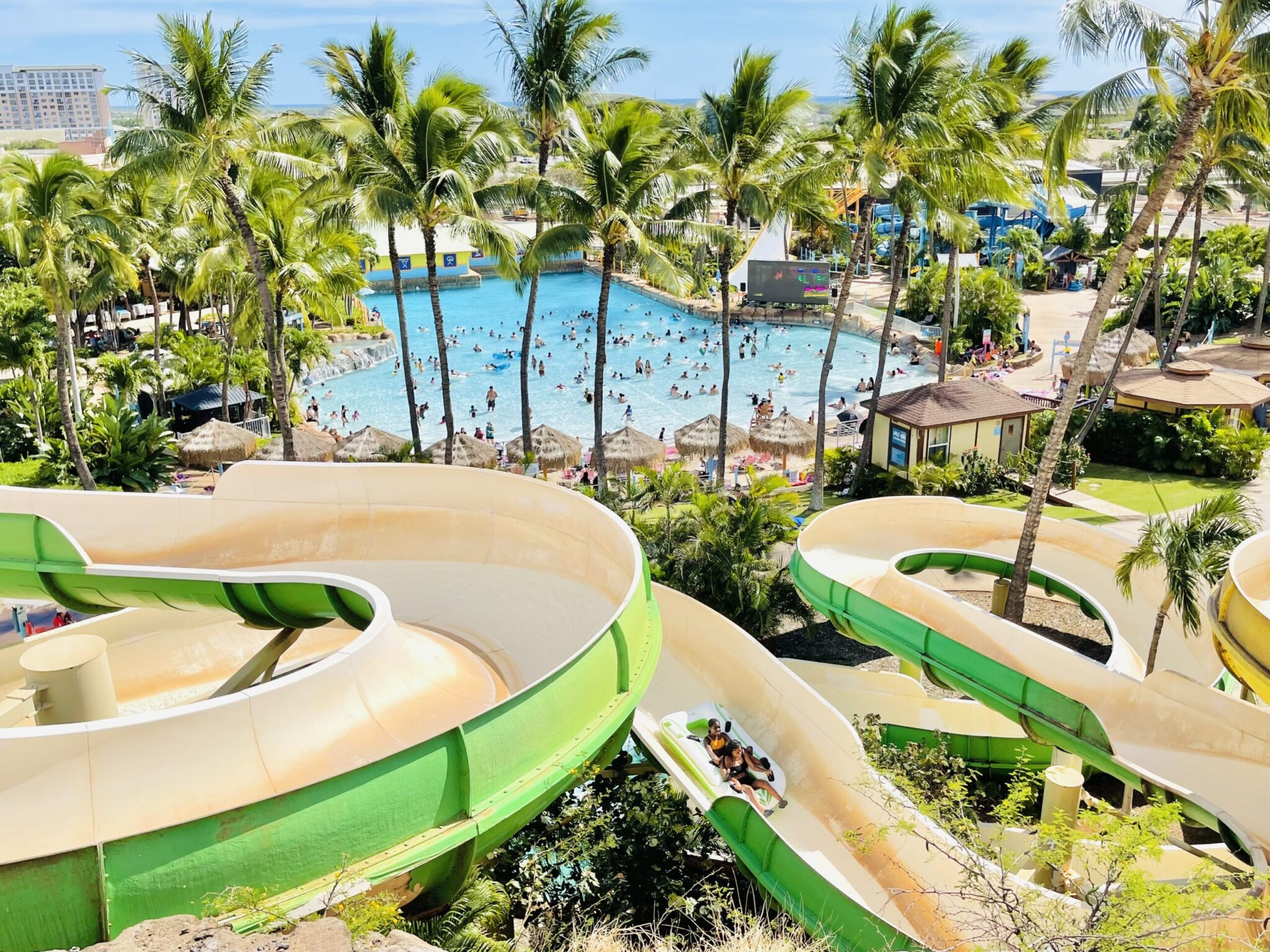 La vida acuática del río Hawal y su papel ecológico