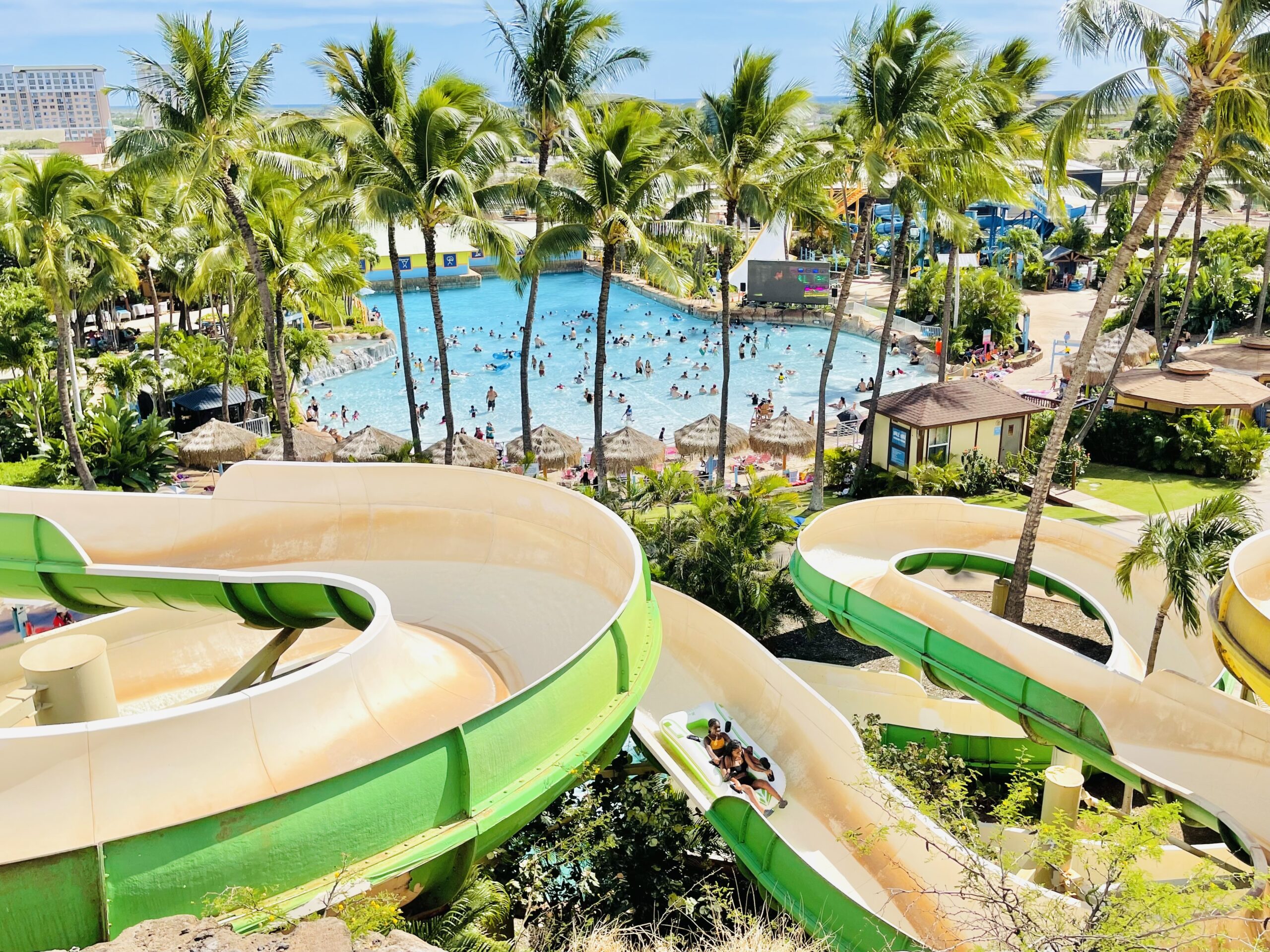 La vida acuática del río Hawal y su papel ecológico