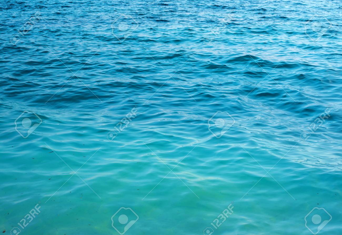 Ecología acuática del río Ndarugu: Descubriendo el equilibrio perfecto