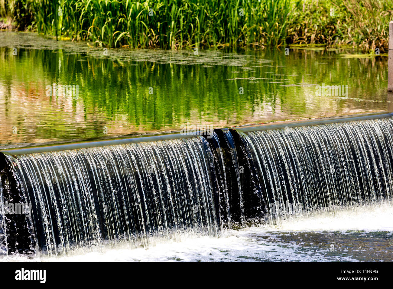 Explora la ecología acuática del Embalse Ulangom