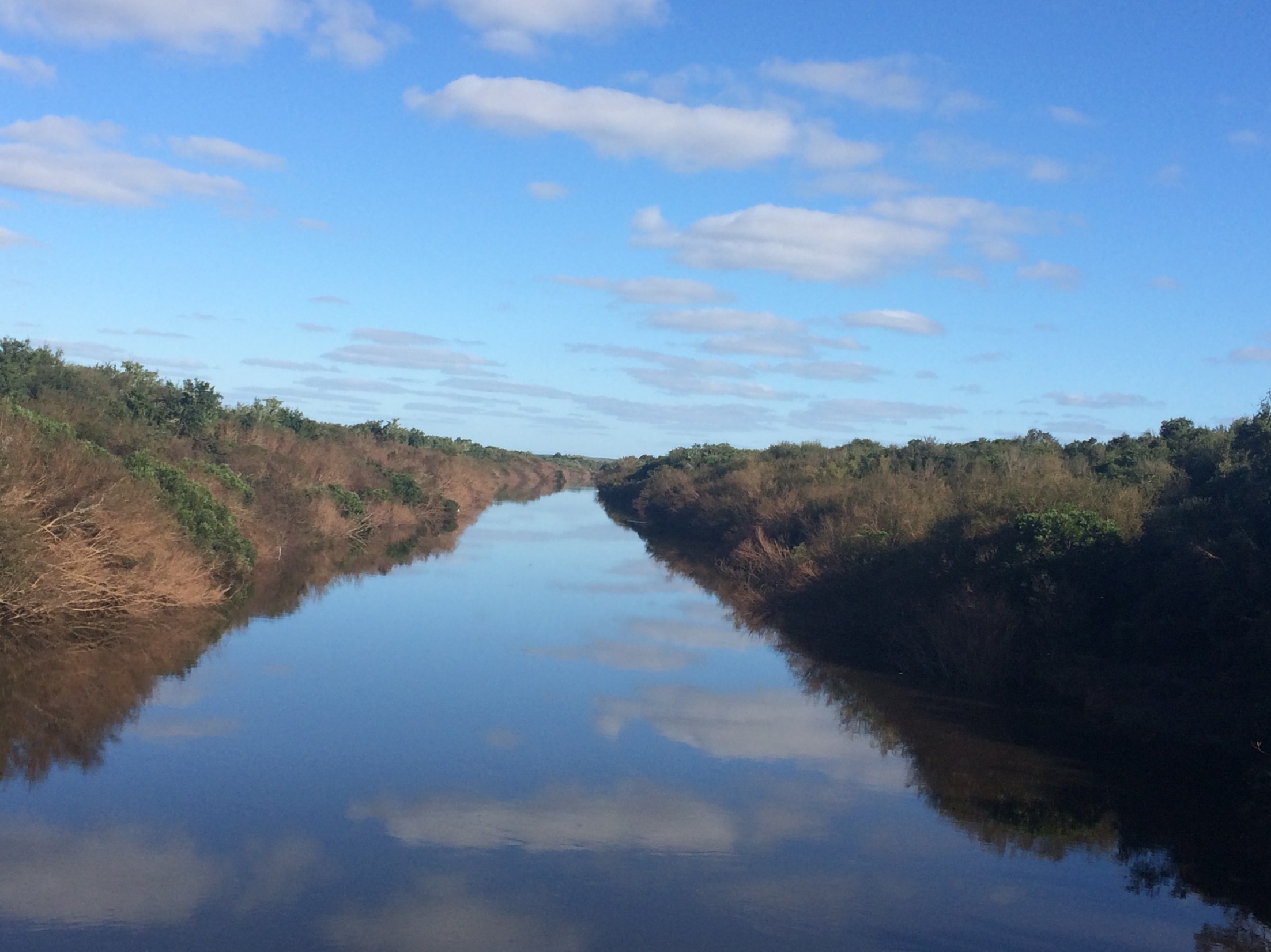 Biodiversidad y desafíos de la ecología del río Niouniourou
