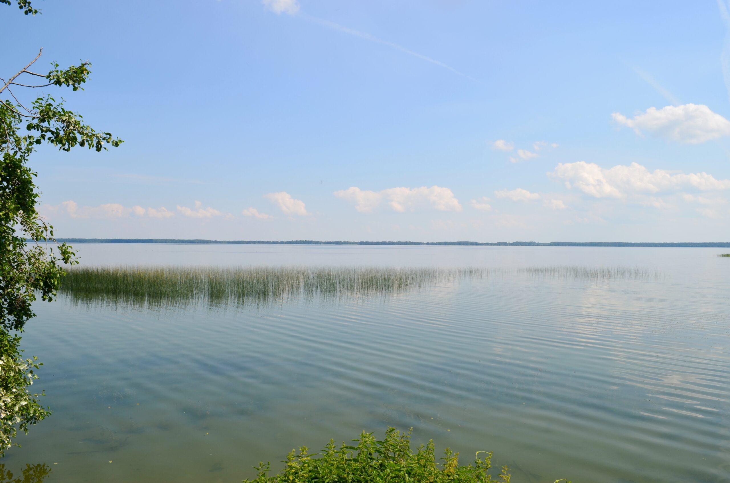 Importancia ambiental del Lago Dusia y su ecología acuática