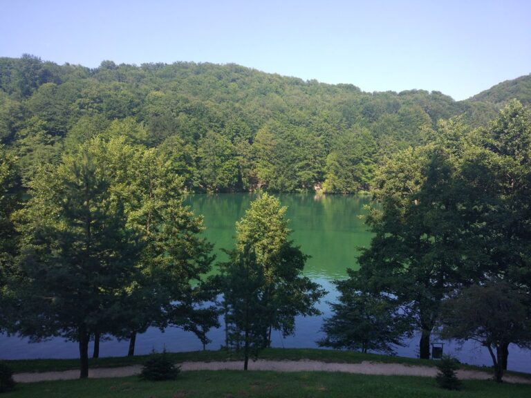 Ecología acuática del Lago Zelenkovac: ¡Descúbrela!