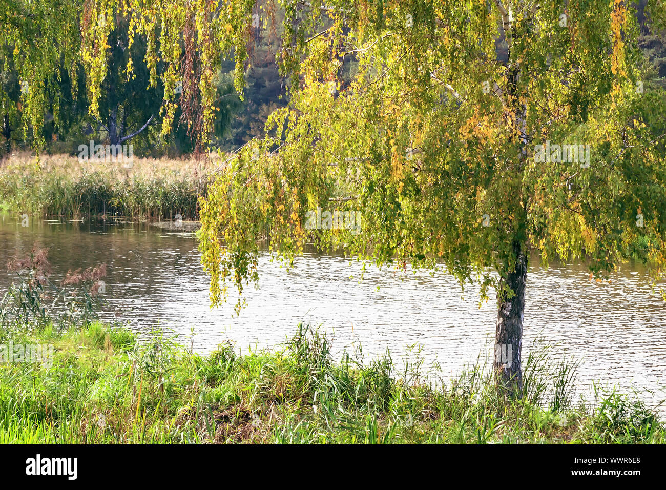 Biodiversidad y conservación del embalse Bayan-Uul