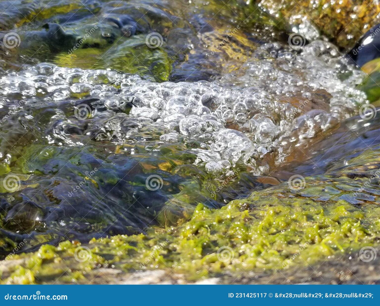 Riqueza de la ecología acuática del río Murrumbidgee