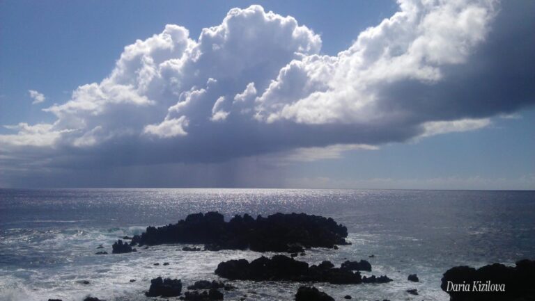 Biodiversidad submarina de Sungai Teraban: Una mirada acuática