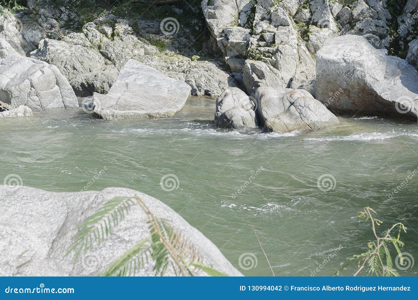 Explorando la ecología acuática del Rio Agua Caliente