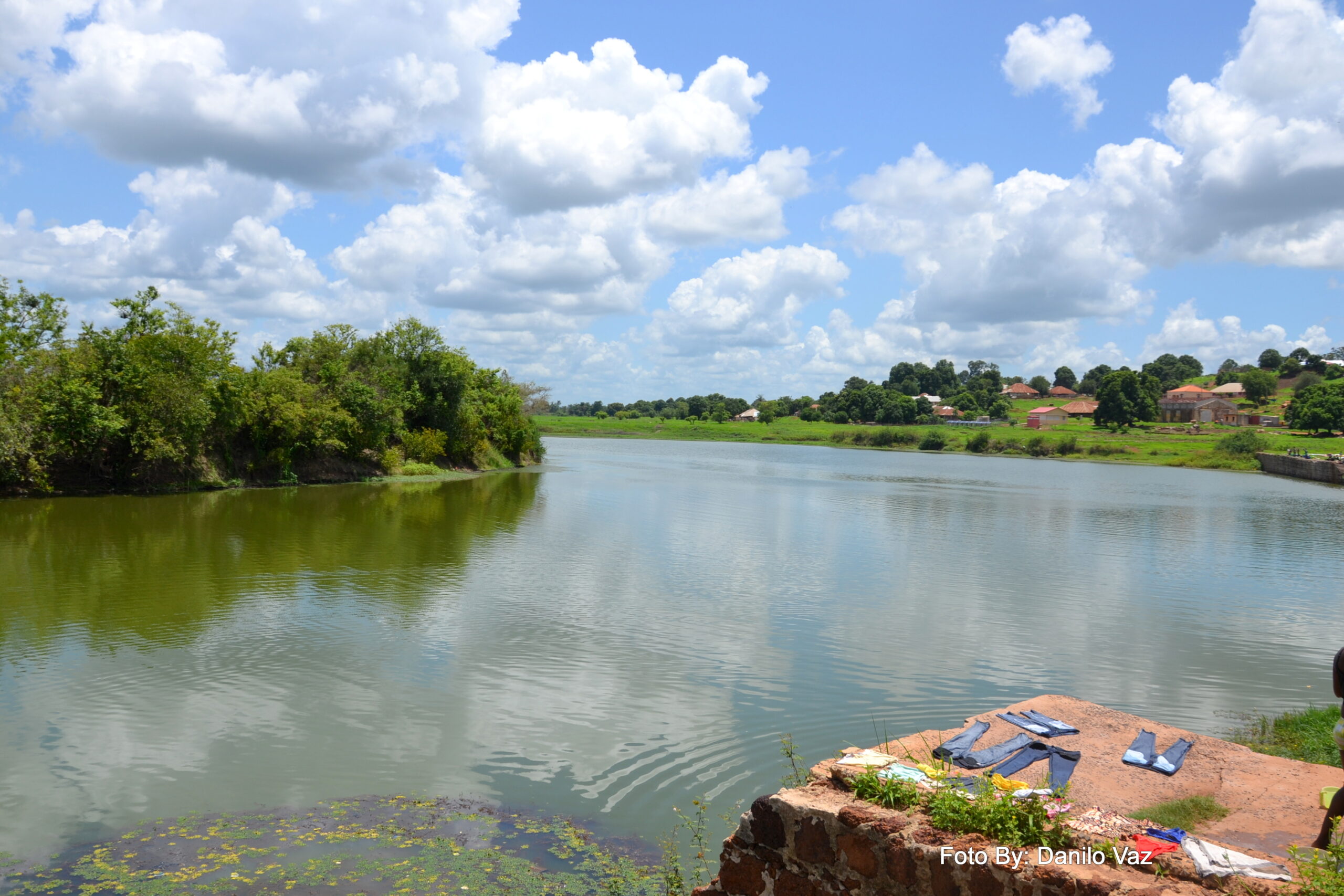 La ecología del río Bafata y su importancia en el ecosistema