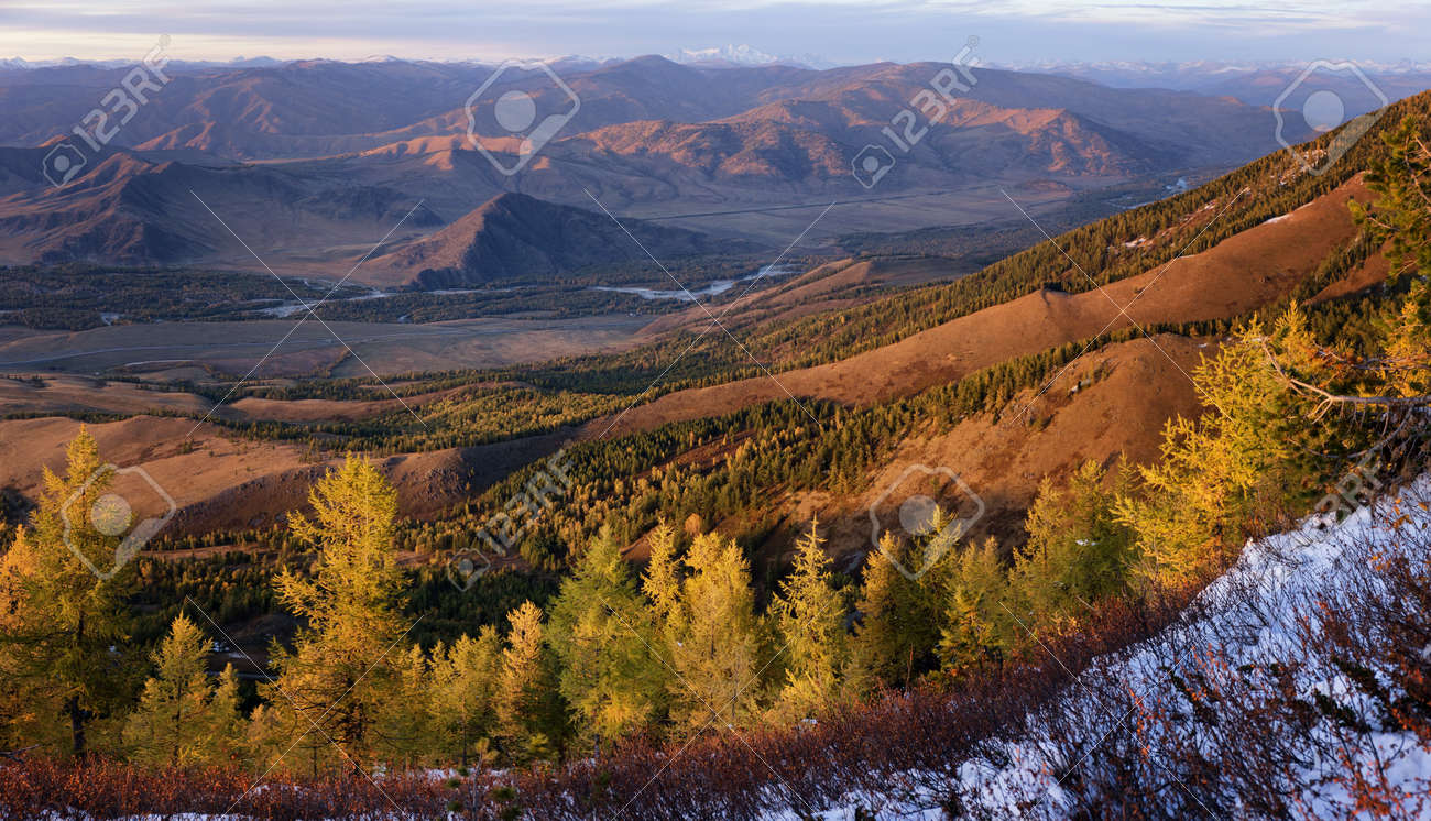 Descubre la vida acuática del río Bukhtarma y su importancia ecológica