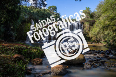 Vida acuática del río Giruá y su importancia ecológica