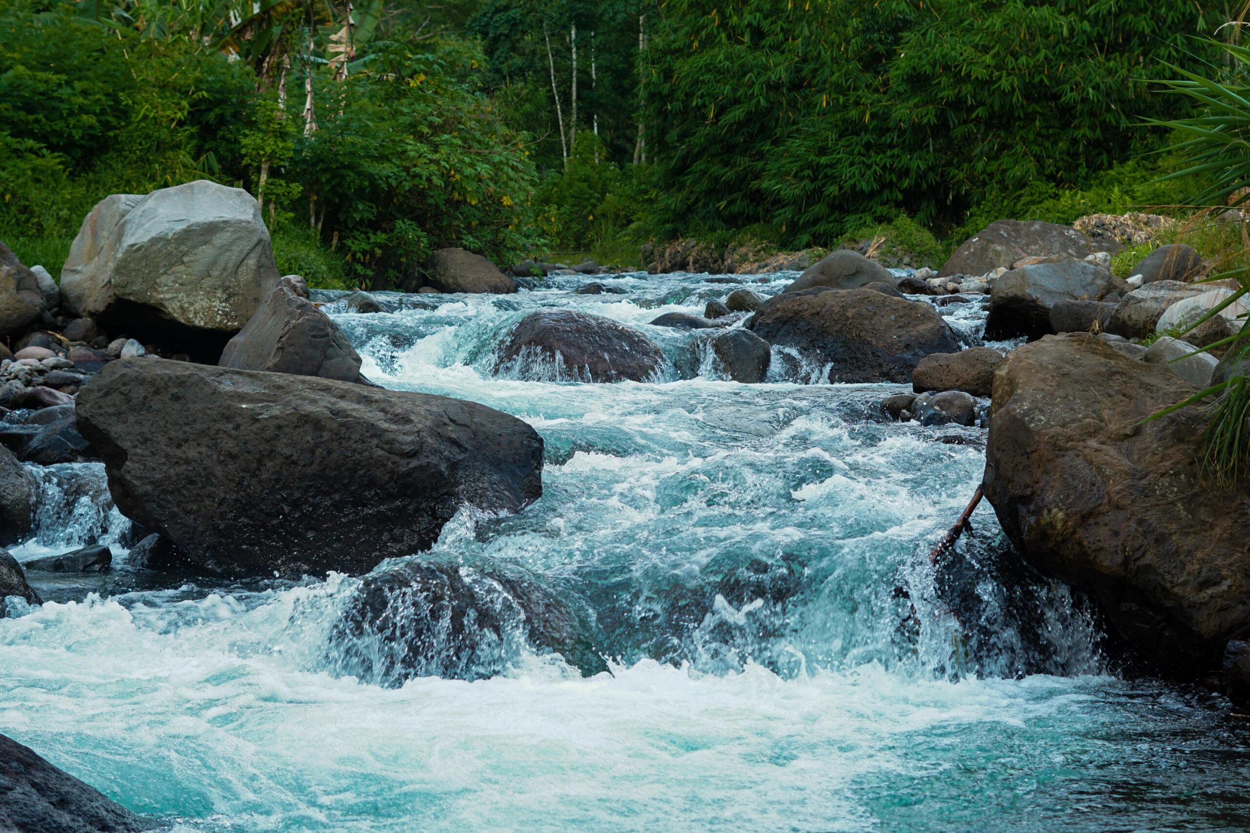 Vida acuática en el río Jemberem y su ecología fluvial
