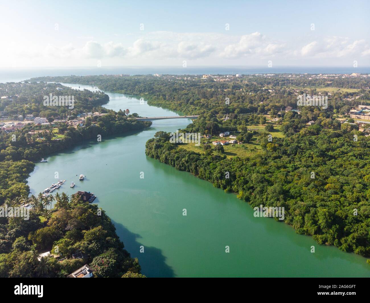 Descubriendo la riqueza de la ecología acuática en el rio Mombasa