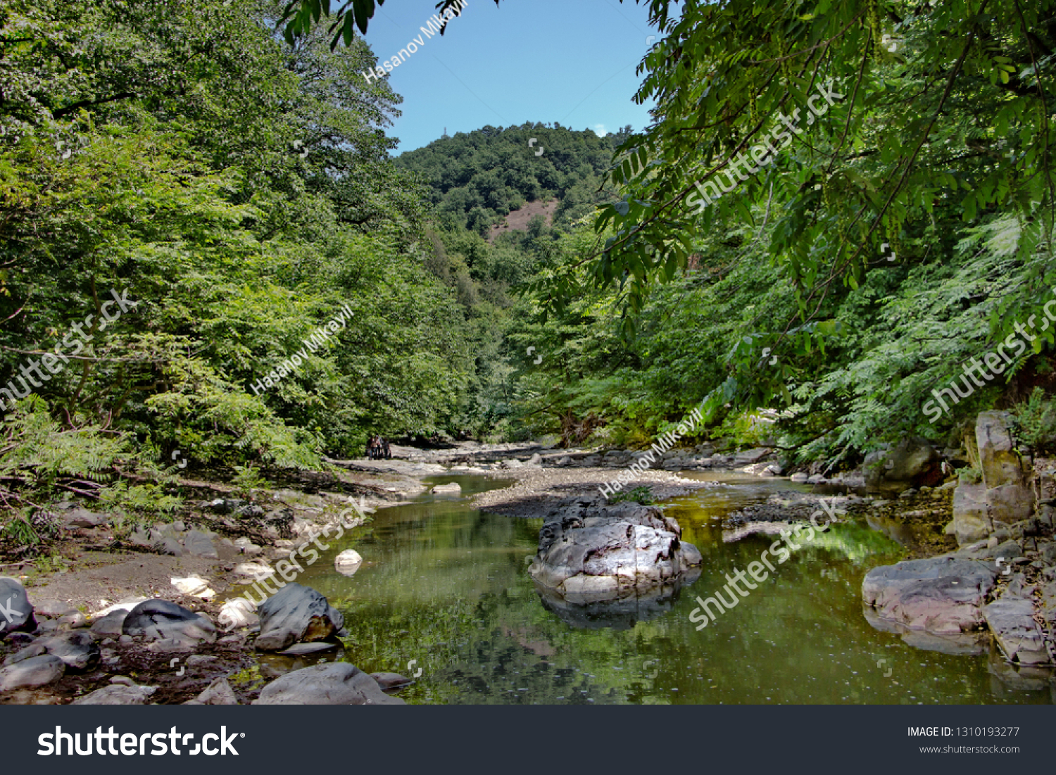 Descubre la riqueza de la ecología acuática del río Vilesh